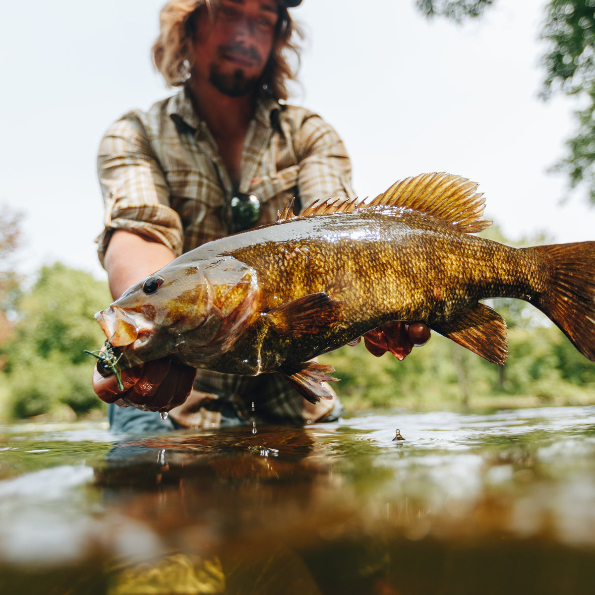 Bass Fly Lines – Schultz Outfitters